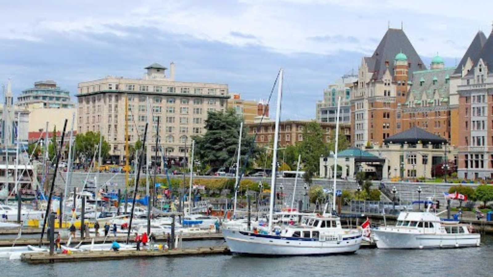 Victoria to Tofino: Epic Vancouver Island Road Trip - BC Uncovered