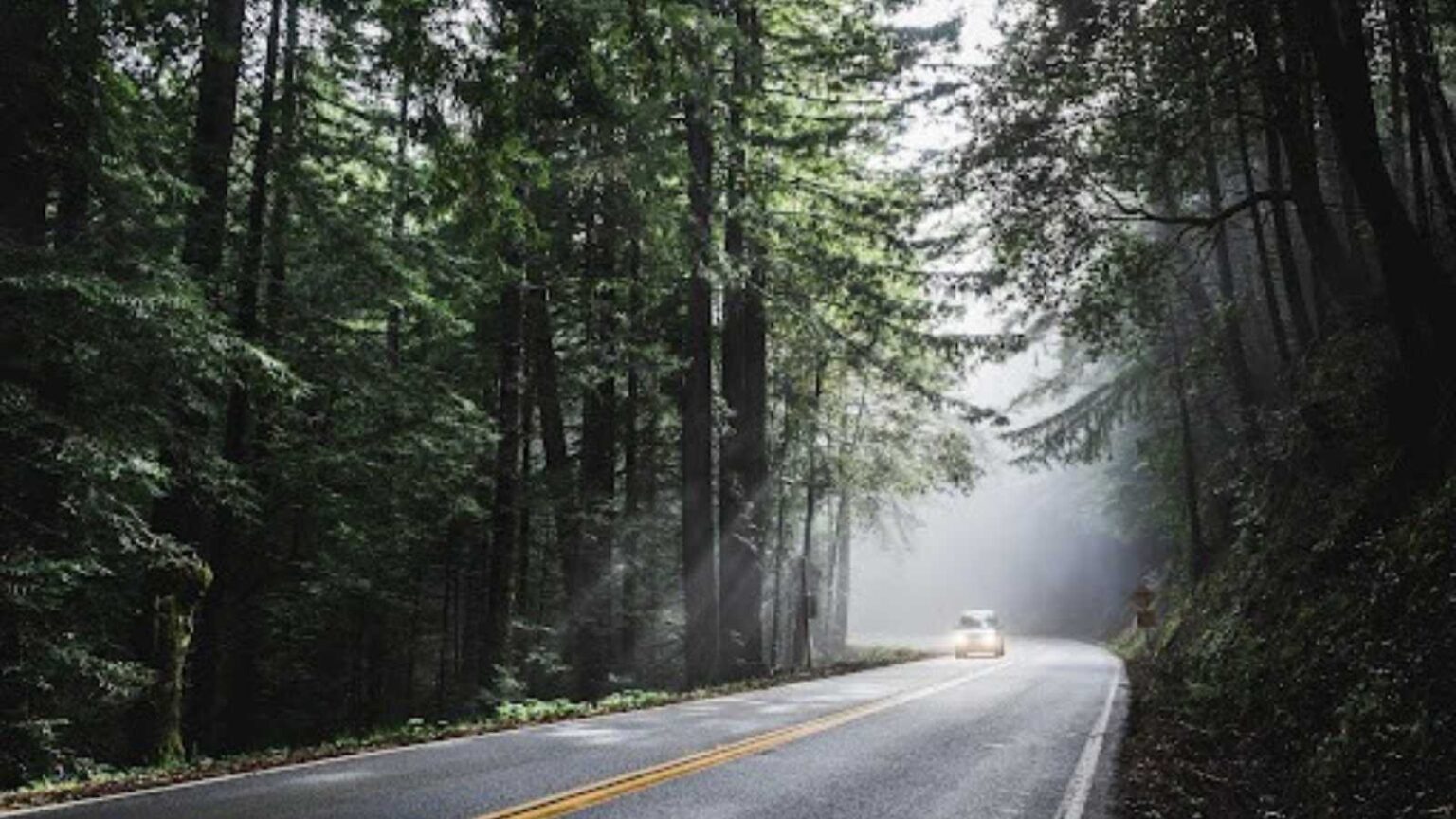 Victoria to Tofino: Epic Vancouver Island Road Trip - BC Uncovered