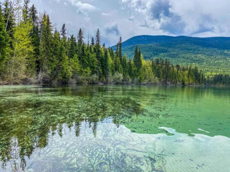 10 Beautiful Lakes in BC You Need to See - BC Uncovered