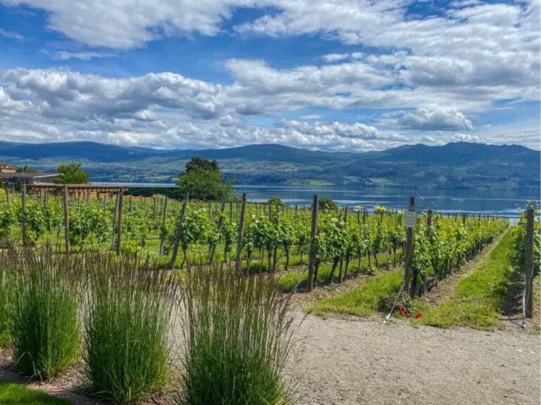 The Ultimate Guide To The Best BC Wineries In The Okanagan - BC Uncovered