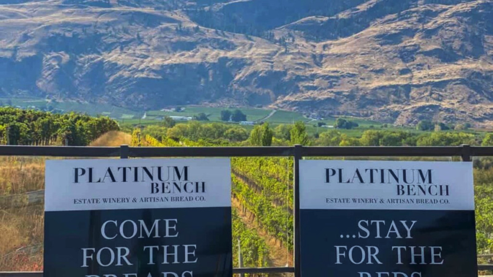 The Ultimate Guide To The Best BC Wineries In The Okanagan - BC Uncovered